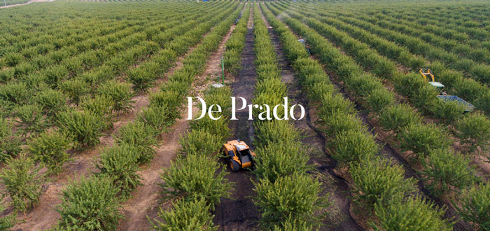 Grupo De Prado | Produção Agrícola - Renovamos a Agricultura
